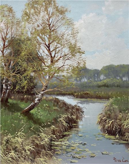 Peter Cox | Silver Birch Trees | MutualArt