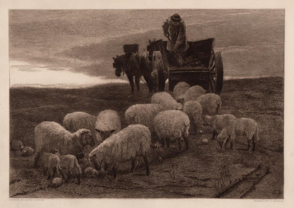 Edwin Douglas | Edwin Douglas 1800s SIGNED Etching Evening on the South ...