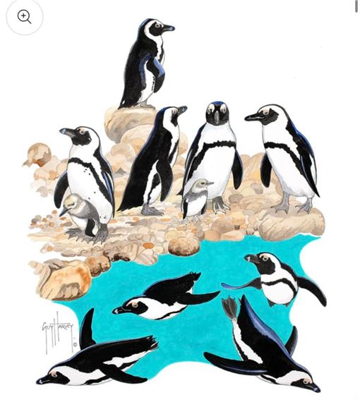 Guy Harvey | African Penguins | MutualArt