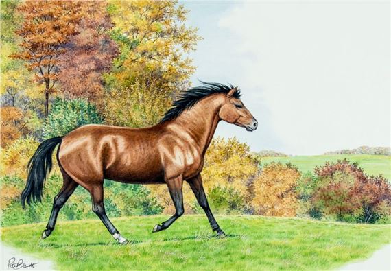 Peter Barrett | watercolor painting (1985) | MutualArt