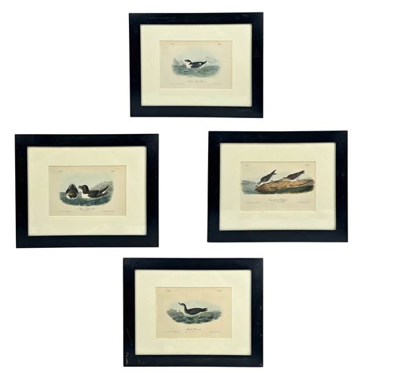 John James Audubon | Color Lithographs Set of 4 | MutualArt