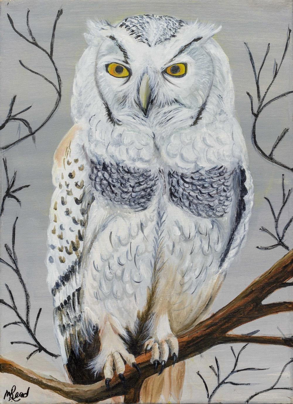 Milly Read | Snow Owl | MutualArt
