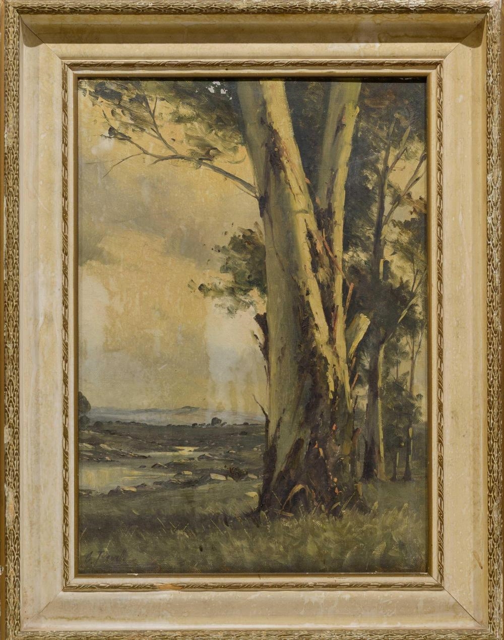 Christopher Tugwell | Gum Tree | MutualArt