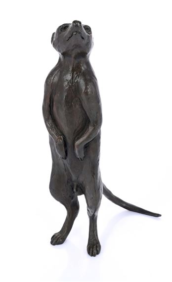 Donald Greig | Meerkat (2010) | MutualArt
