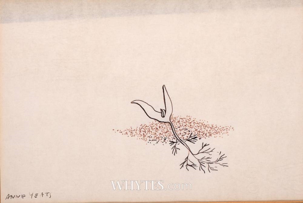 Anne Yeats | LITTLE DIRECTIONAL INSTINCTS UNCOILED FROM THE WET ...