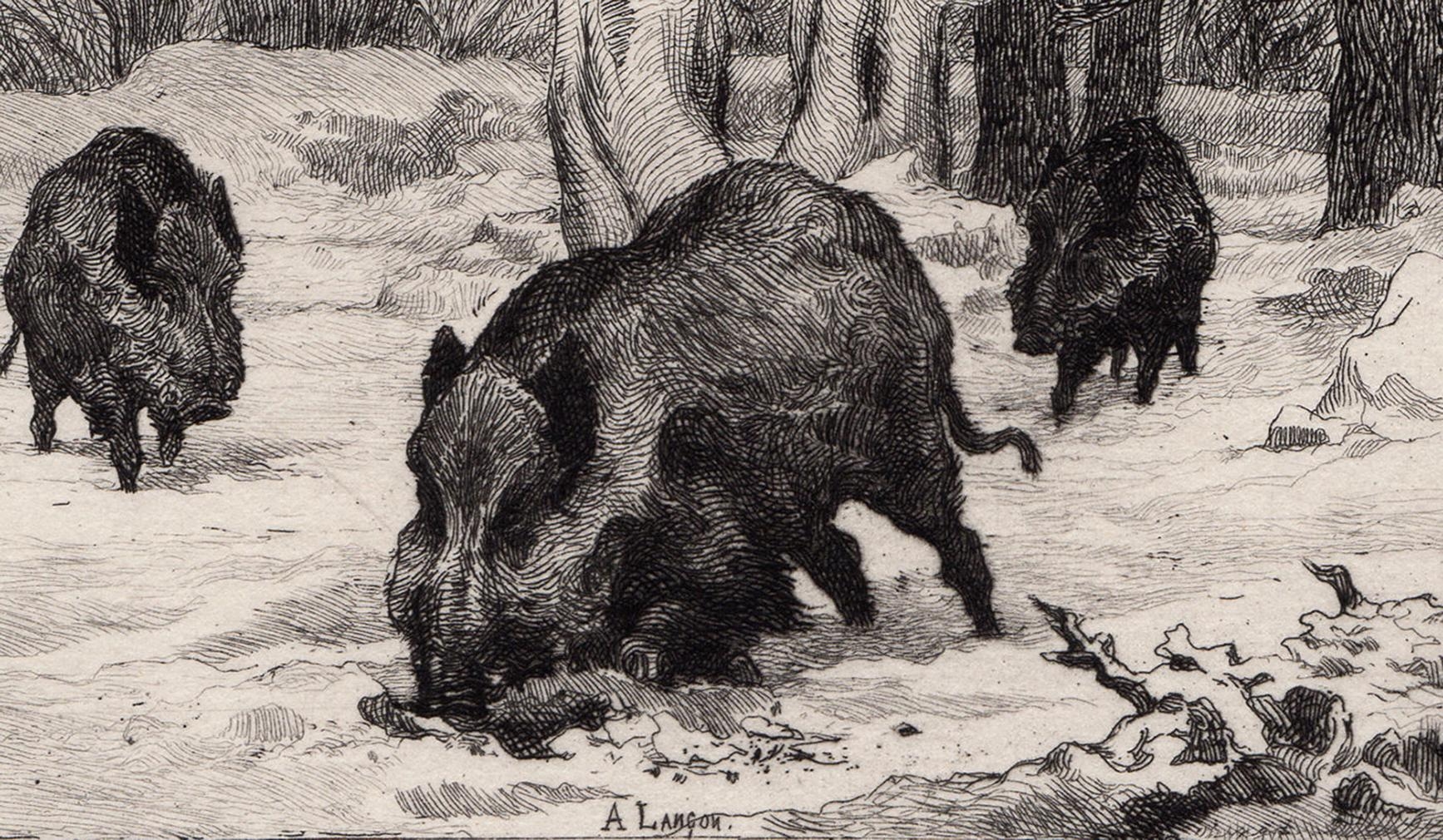 Auguste Lançon | Wild Boars (1874) | MutualArt