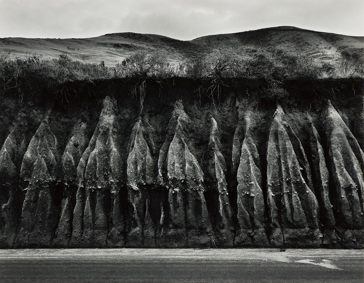 Wynn Bullock | Erosion (1956) | MutualArt