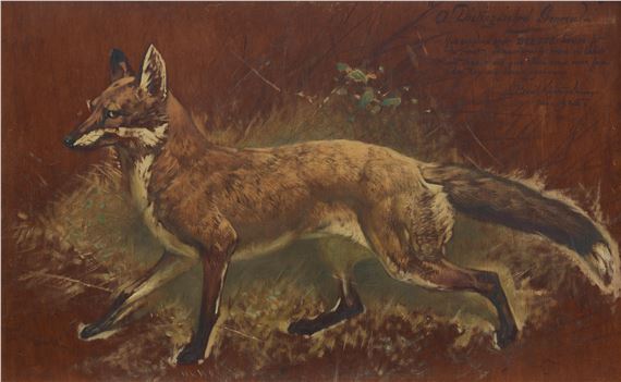 Basil Nightingale | 'A Distinguished General' - A study of a fox (1915 ...