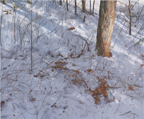 Catherine Murphy | Scrub (1987) | MutualArt