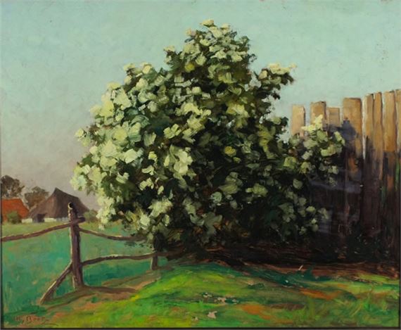 Elly Beetz | bl hender Holunder | MutualArt