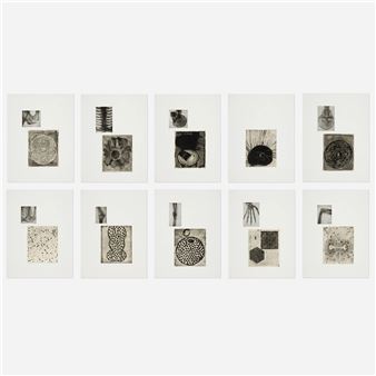 Terry Winters | Colony (1983) | MutualArt