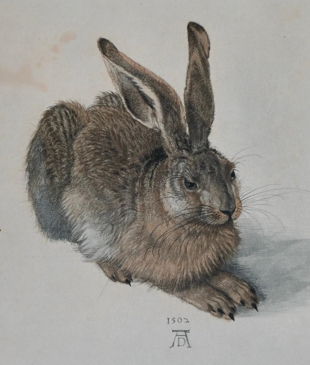 Albrecht Dürer | Young Hare (1502) | MutualArt