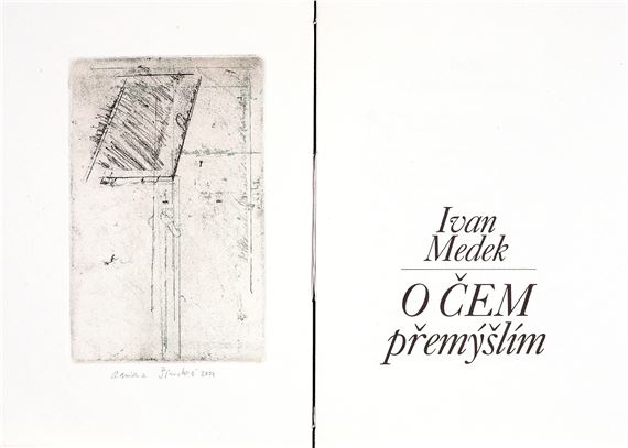 Adriena Šimotová | O čem přemýšlím, Ivan Medek, 2004 (2004) | MutualArt