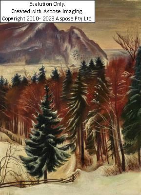 Albert Birkle | Fichte im Schnee (View of the Kapuzinerberg from the ...