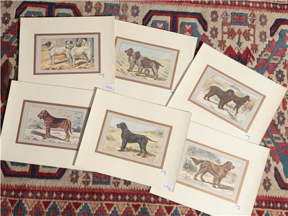 Paul Mahler | Dog Breeds (1907 | MutualArt