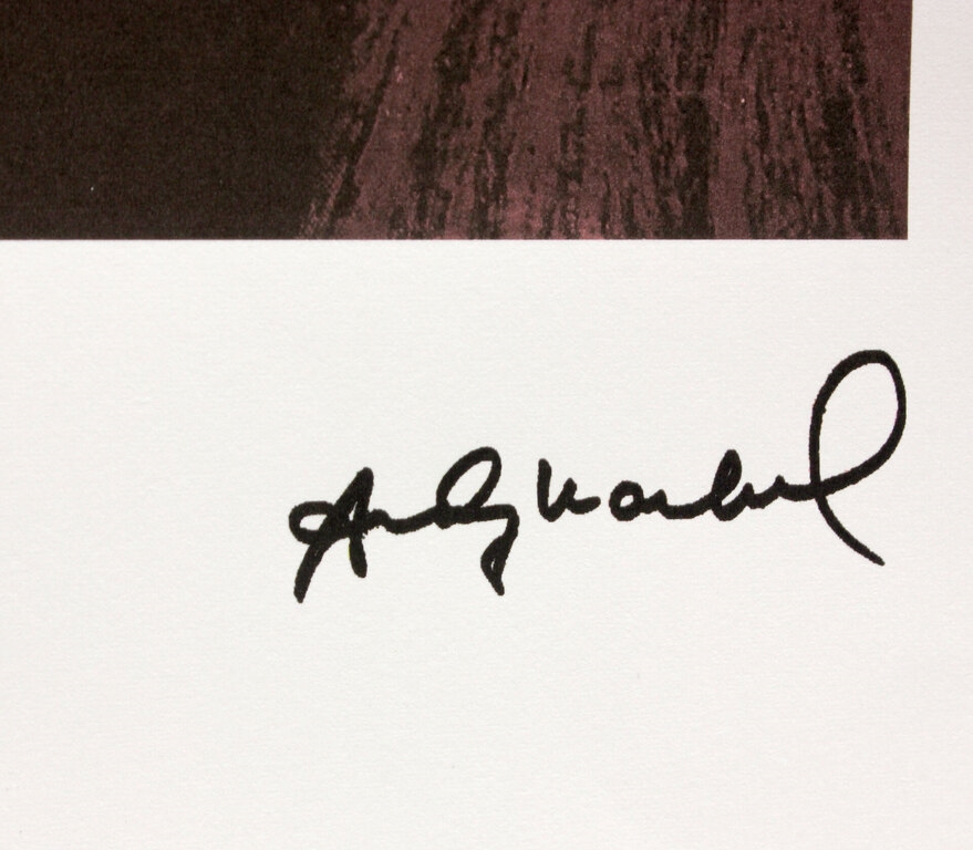 Andy Warhol | Portrait (20th Century) | MutualArt