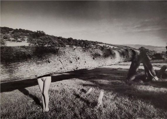 John Swannell | JOHN SWANNELL (1980) | MutualArt
