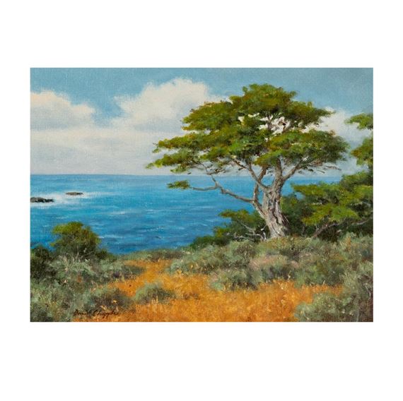 David Chapple | Carmel Cypress | MutualArt