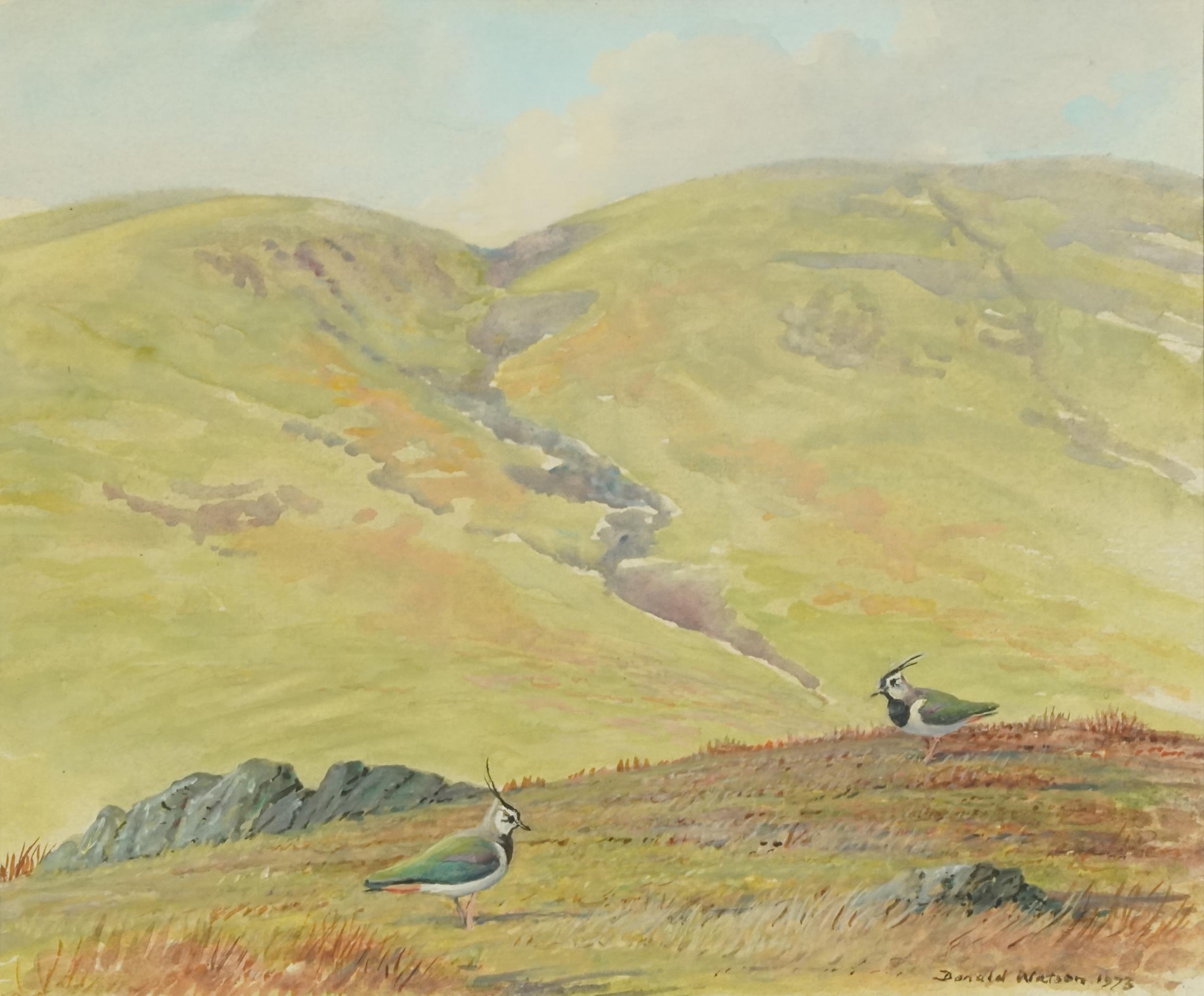 Donald Watson | Donald Watson - Lapwings in the Southern Uplands (1973 ...