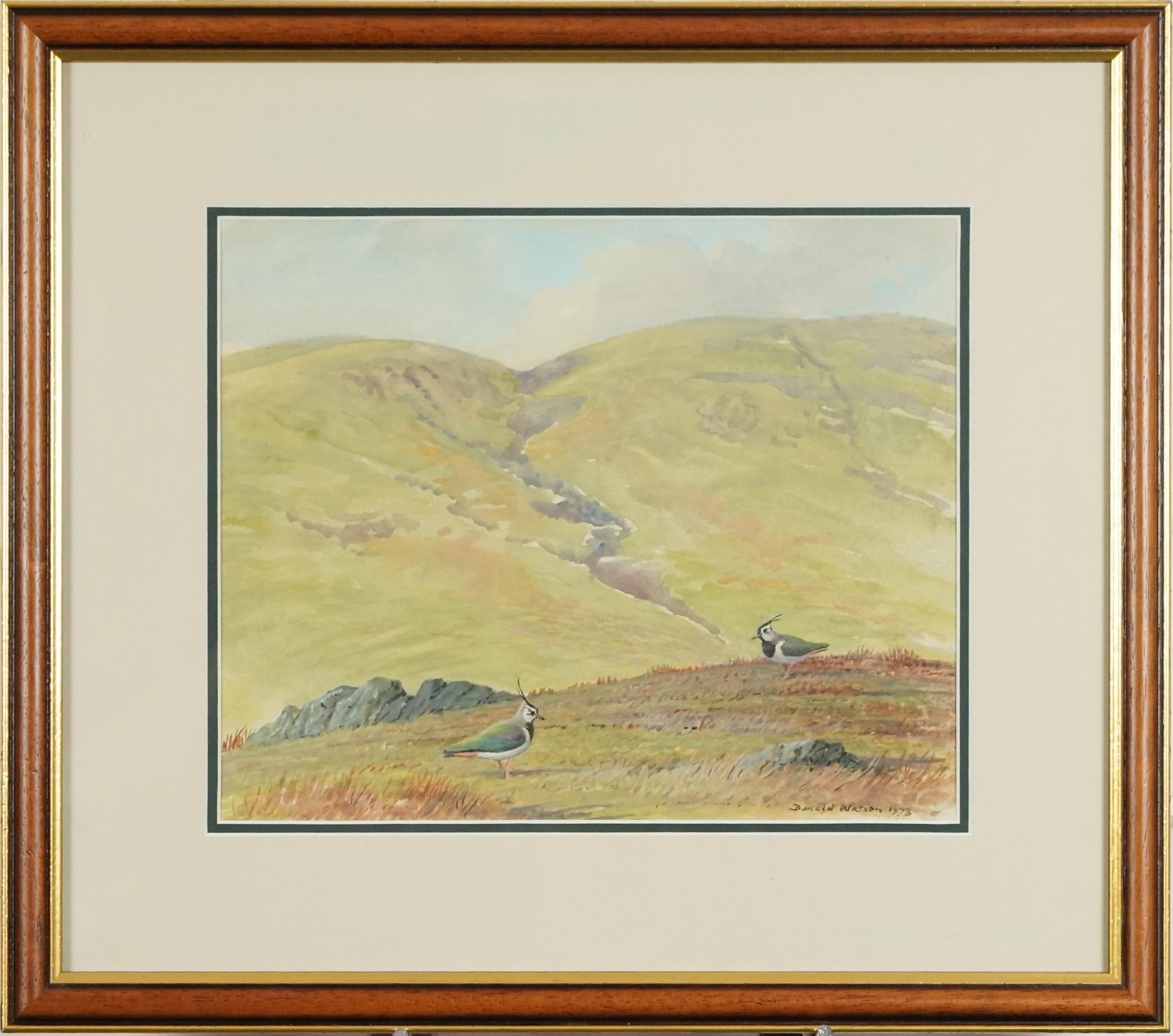 Donald Watson | Donald Watson - Lapwings in the Southern Uplands (1973 ...