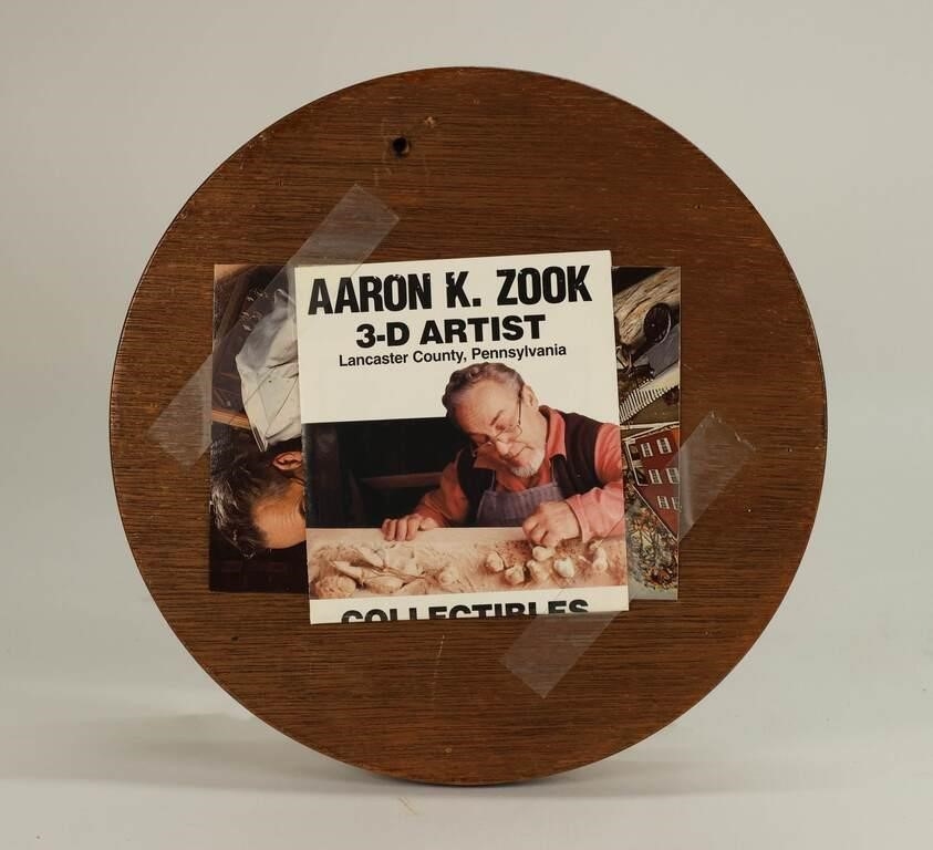 Aaron Zook | Spring Mill | MutualArt