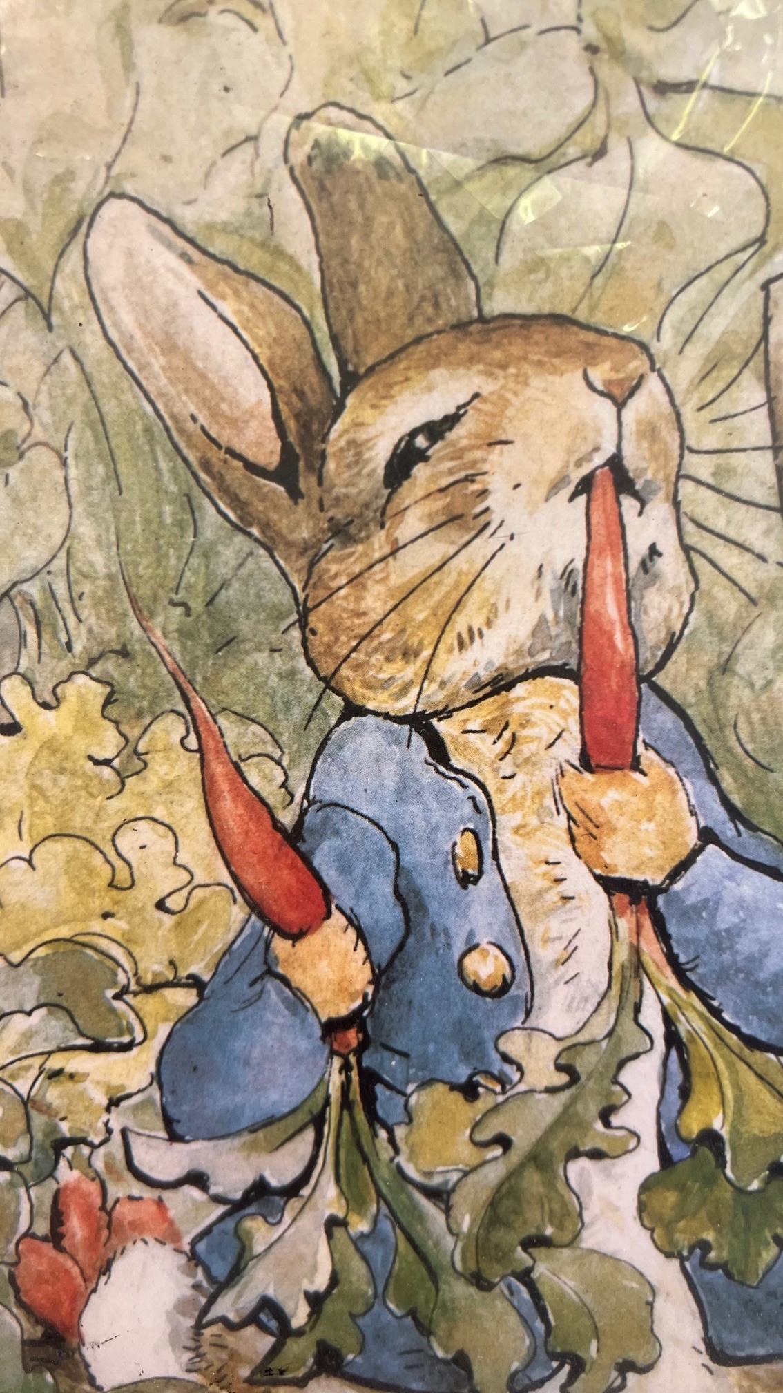 Beatrix Potter | SIX BEATRIX POTTER POSTERS | MutualArt