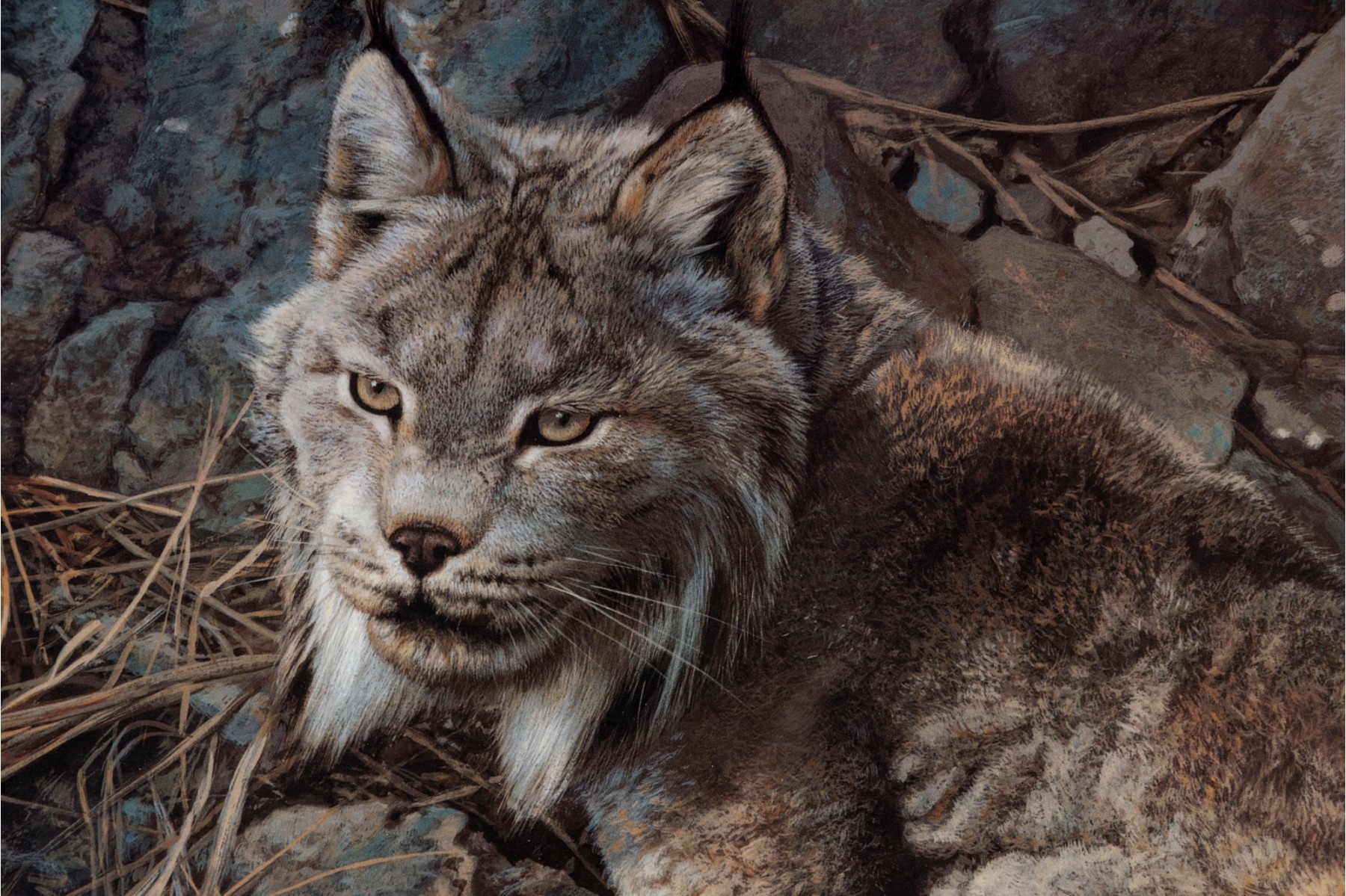Carl Brenders | B. 1937) Duo Of Signed Lithographs Depicting Wild Cats ...