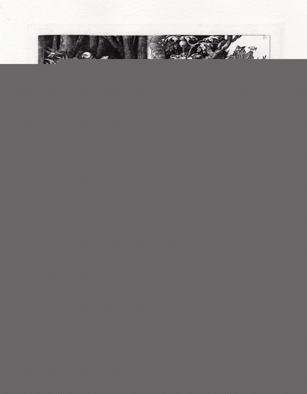 Albrecht Dürer | Albrecht Durer Adam and Eve engraving signed | MutualArt