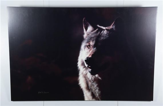 Carl R. Sams II | Out of the Shadows | MutualArt