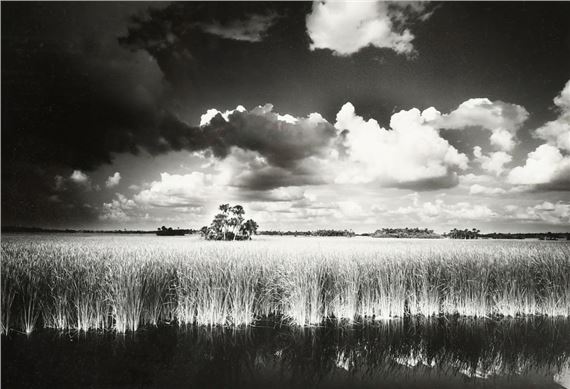 Clyde Butcher | “Ochopee #3” (1004) | MutualArt