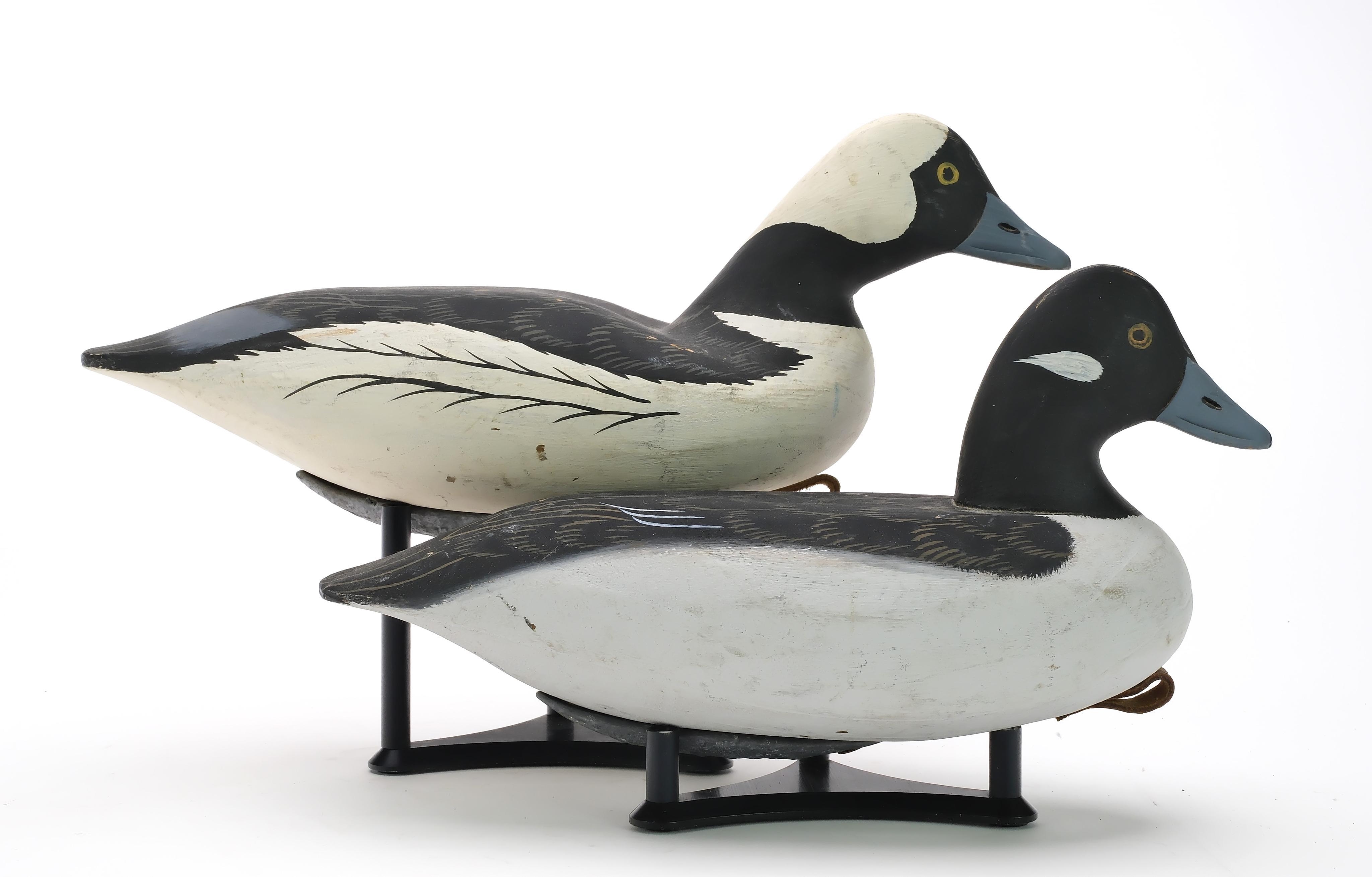 Roe Terry | Pair of buffleheads | MutualArt