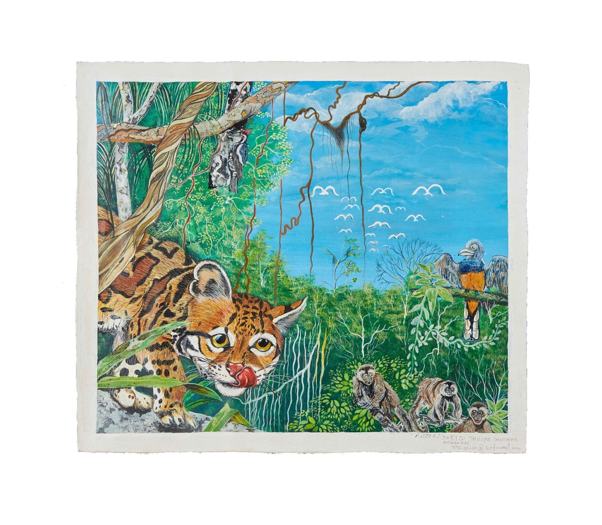 Jarlin Javier Sanchez | Cheetah, monkeys, and other creatures in a lush ...