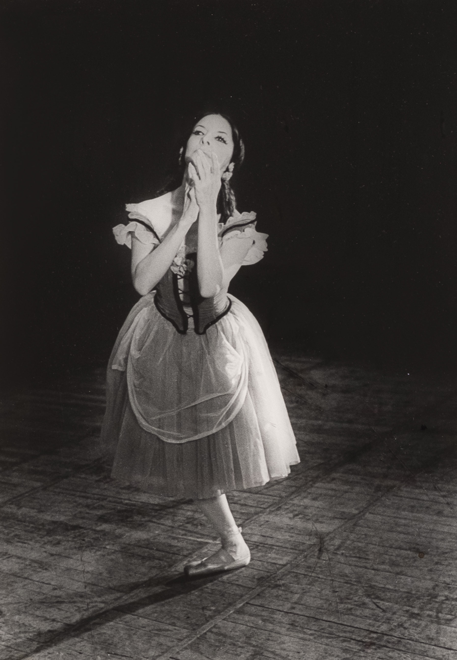 Ernesto Fernandez | Alicia (2004) | MutualArt