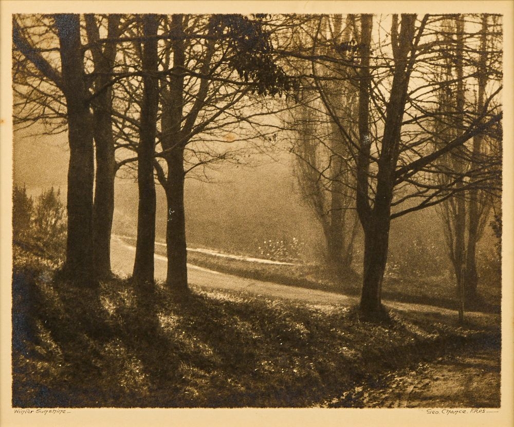 George Chance | Winter Sunshine | MutualArt