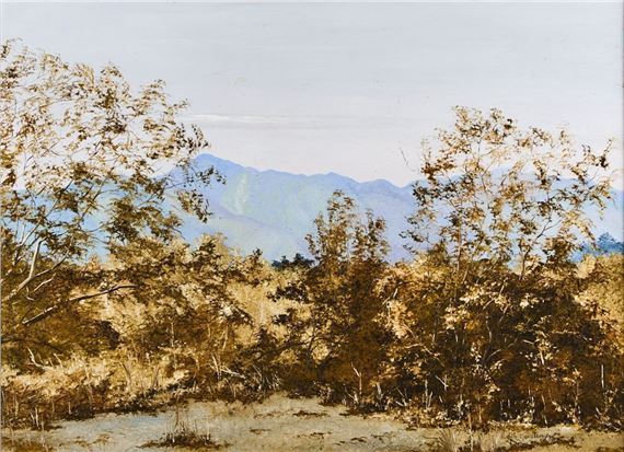 Judith Moreton | Kaimai Range from Te Aroha (1975) | MutualArt