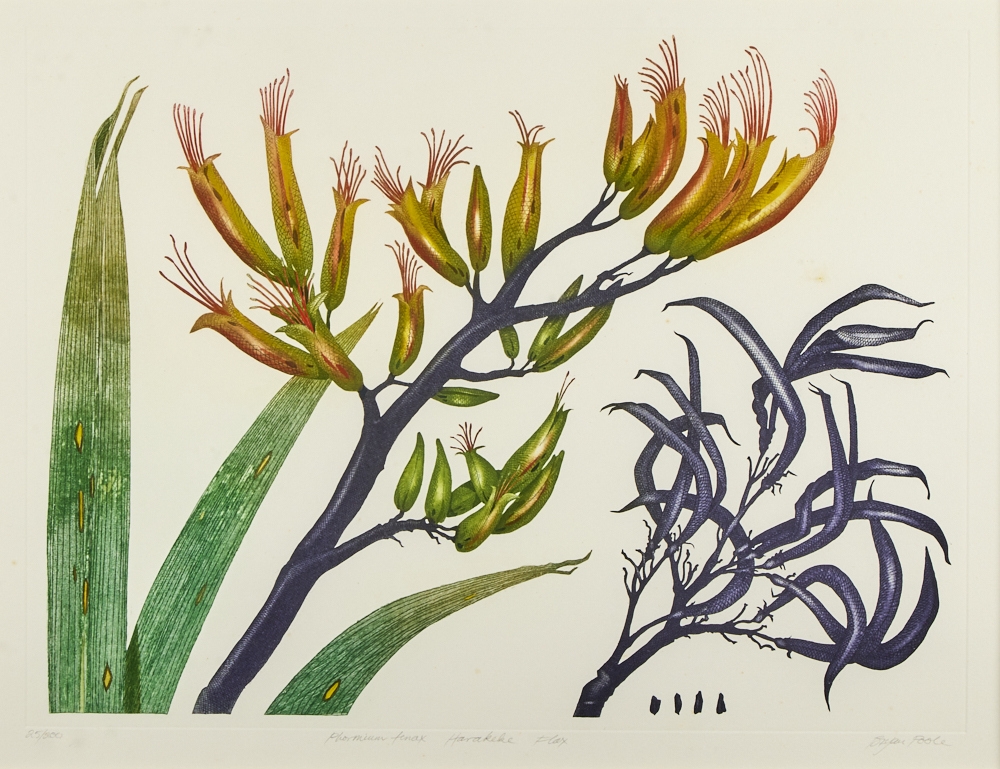 Bryan Poole | Phormium Tenax, Harakeke Flax | MutualArt