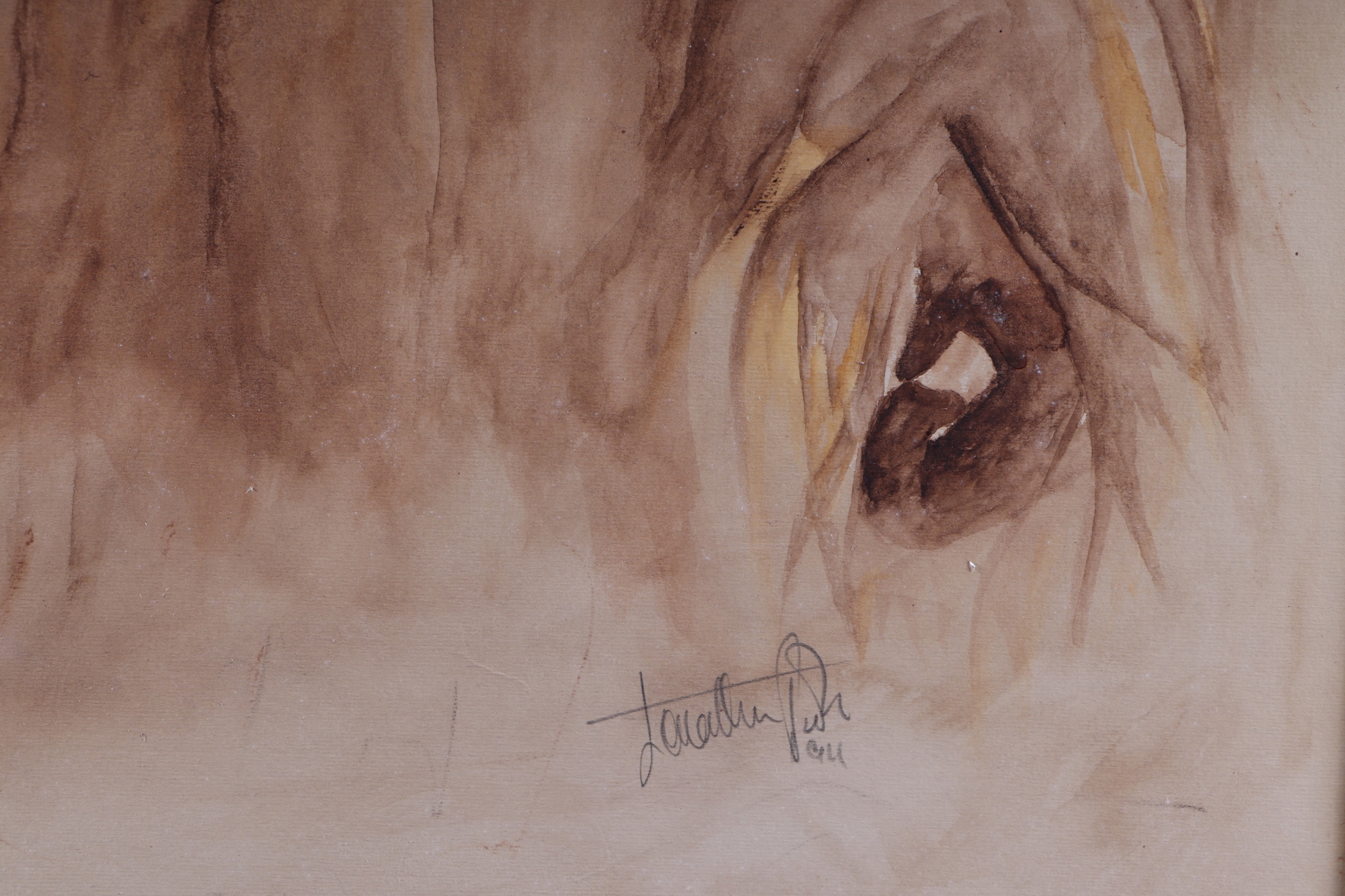 Gerald Durrell | Portrait of the Jersey Zoo Orangutan | MutualArt