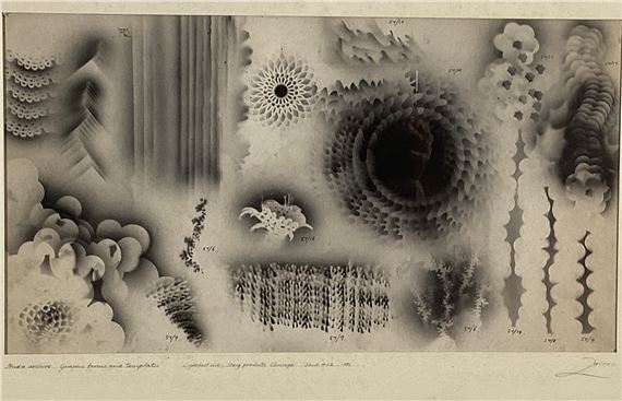 Richard Drew | Richard Drew, known as Zacron (British (1981) | MutualArt