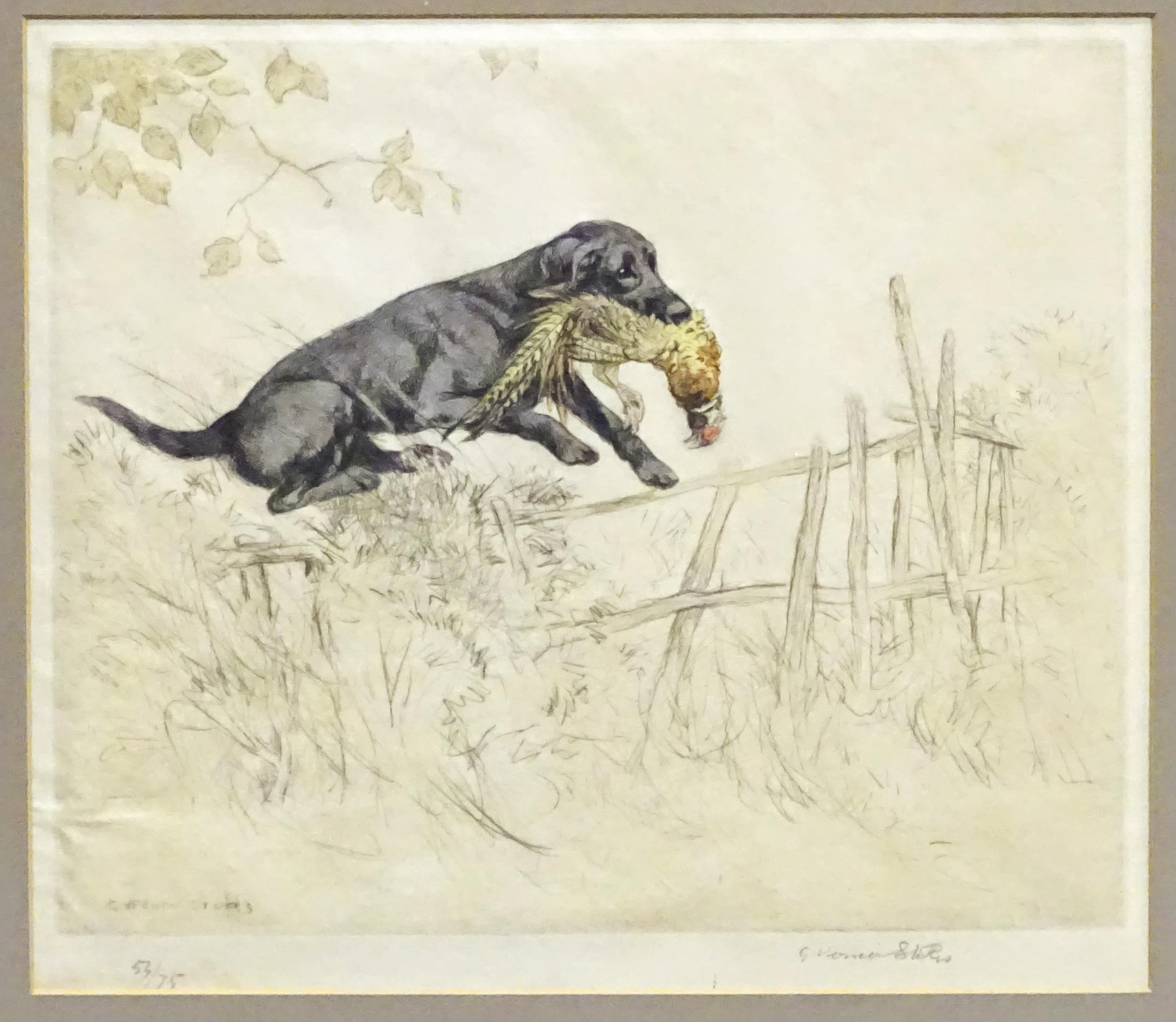 George Vernon Stokes | Well Over, depicting a black Labrador with a ...