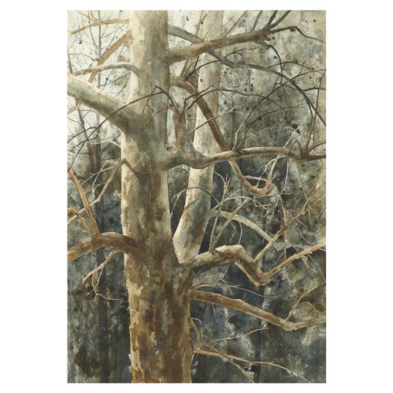 Jim Gray | Sycamore | MutualArt