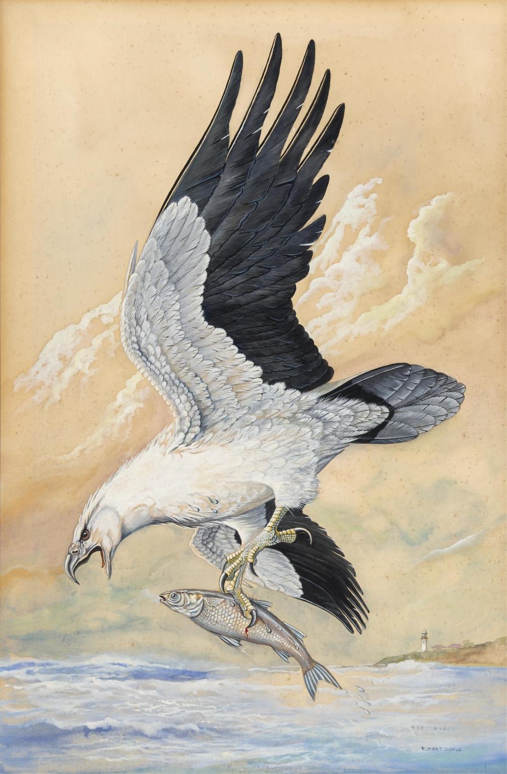 Robert Doyle | Catch Off Norah Head | MutualArt