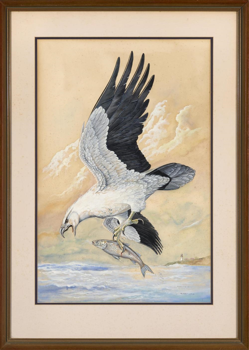 Robert Doyle | Catch Off Norah Head | MutualArt