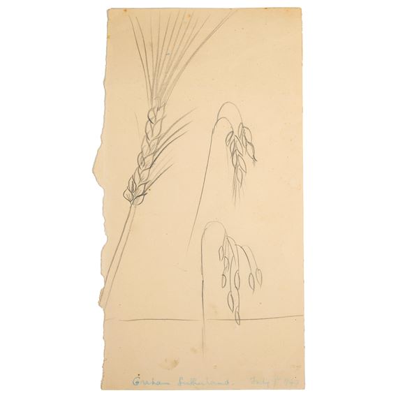Graham Sutherland | Pencil drawing of barley and oats, captioned in ...