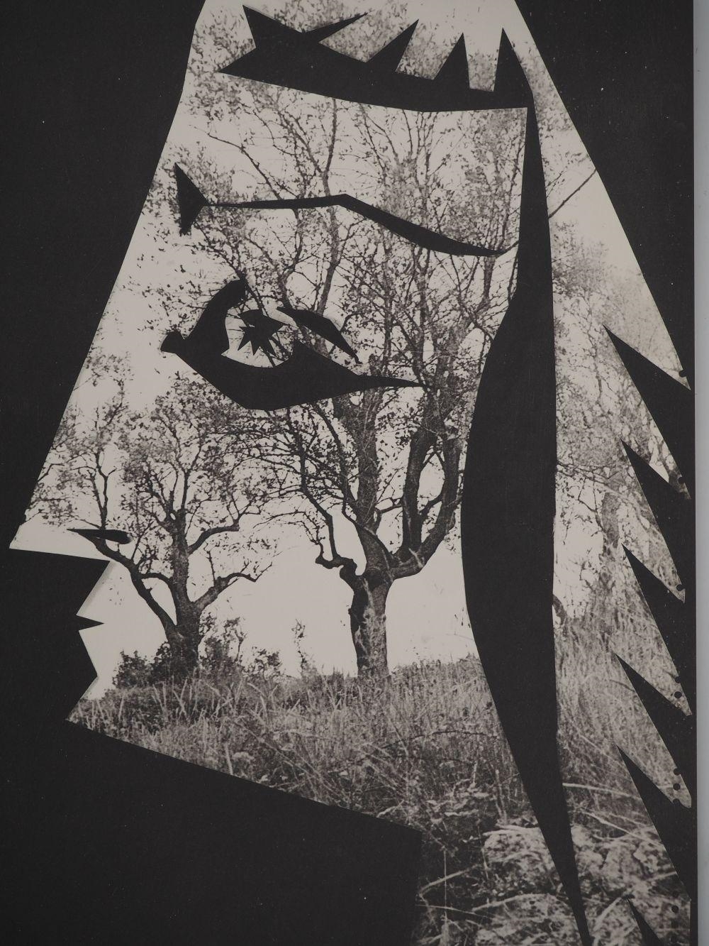 Pablo Picasso | Jacqueline at the Trees | MutualArt