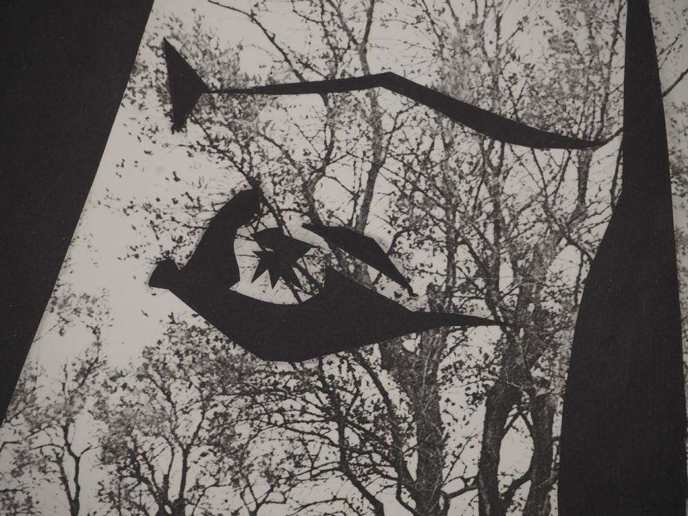 Pablo Picasso | Jacqueline at the Trees | MutualArt