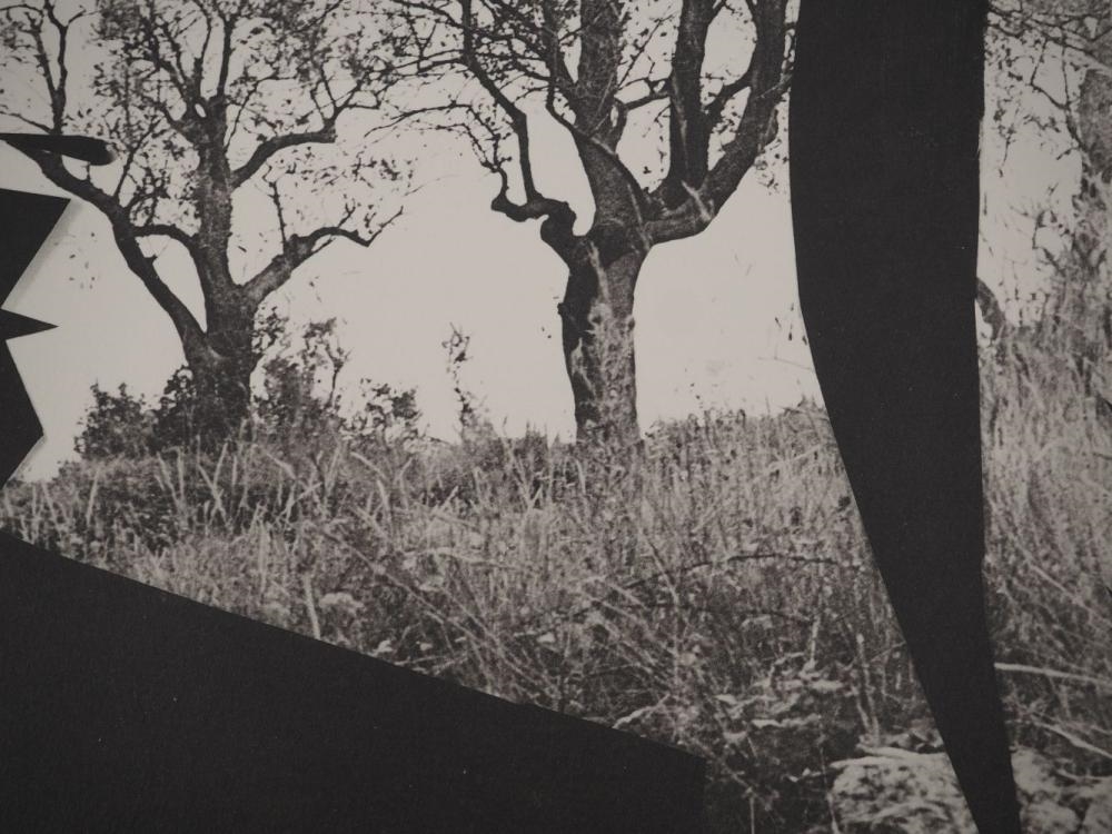 Pablo Picasso | Jacqueline at the Trees | MutualArt