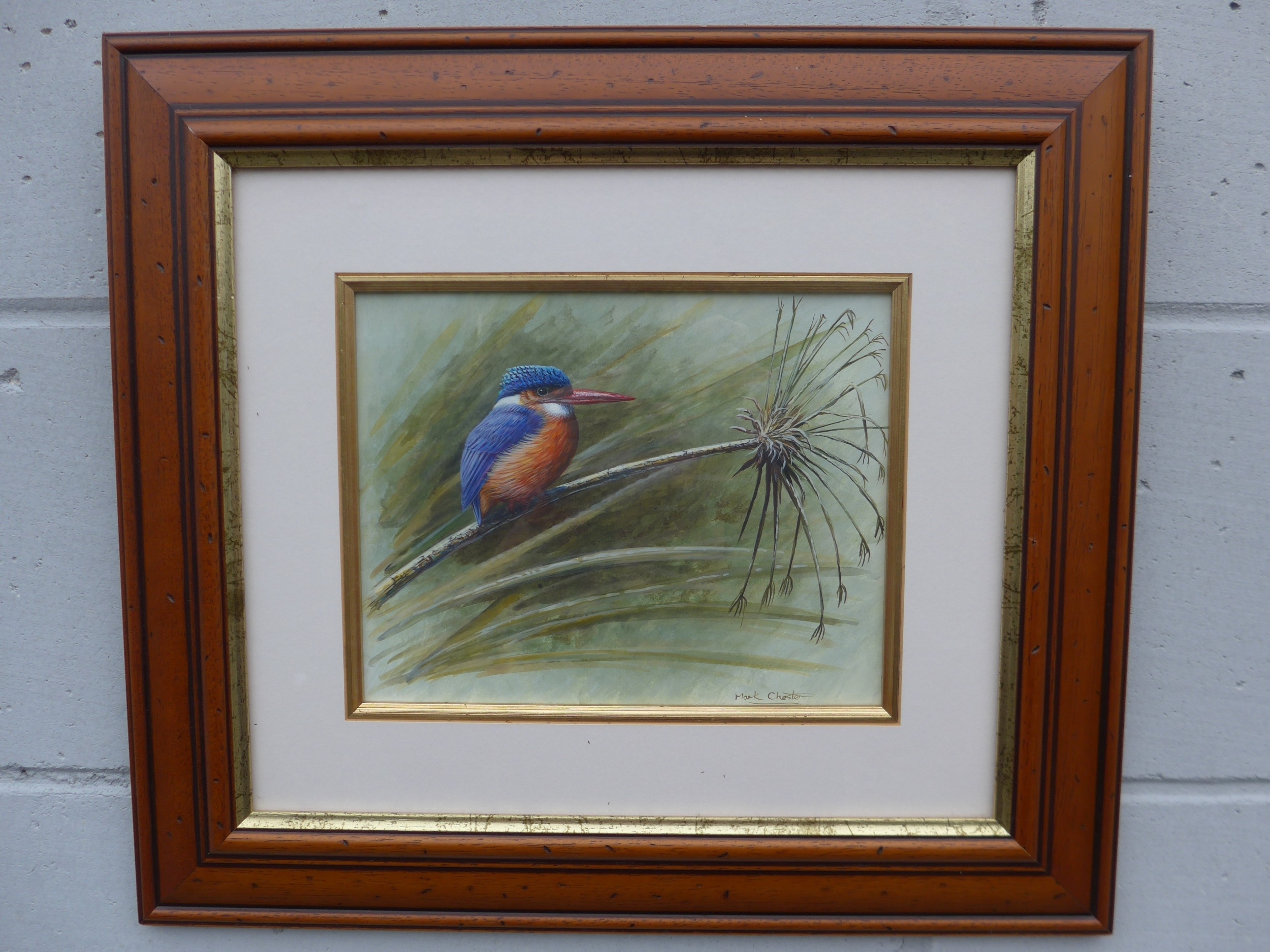 Mark Chester | Kingfisher | MutualArt