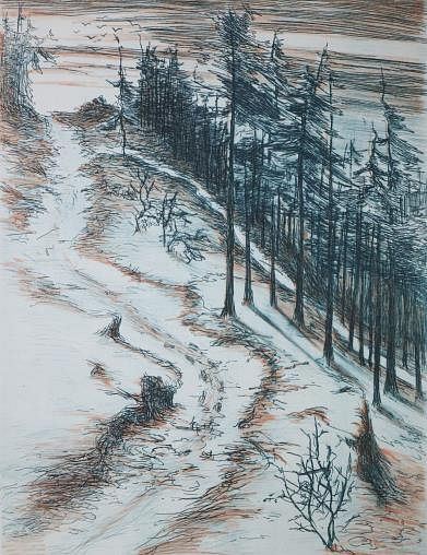 Emile Roux | Emile Roux - Paysage Dhiver (1904) | MutualArt