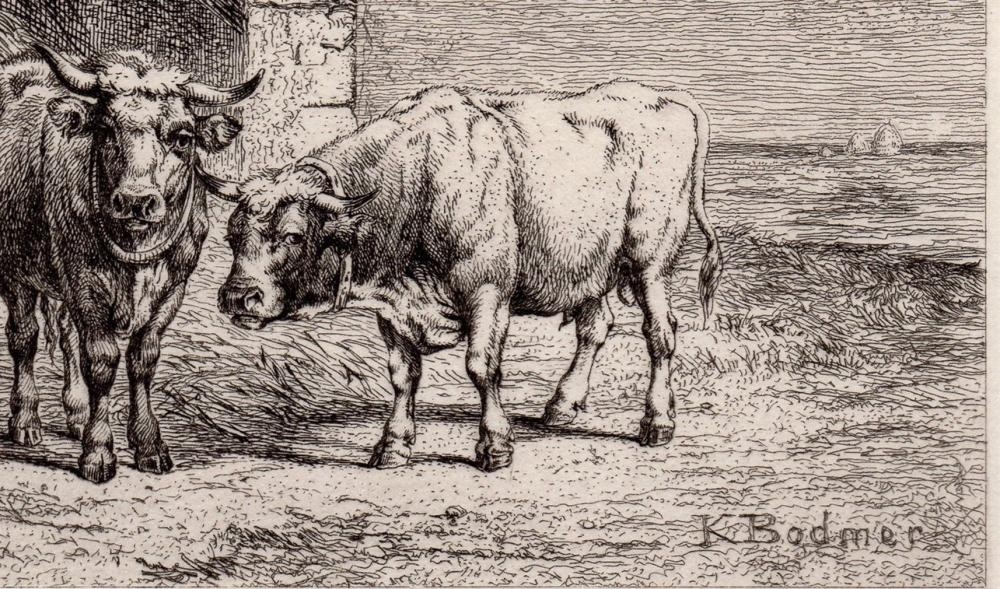Karl Bodmer | Johann Carl Bodmer Oxen Etching 1872 | MutualArt