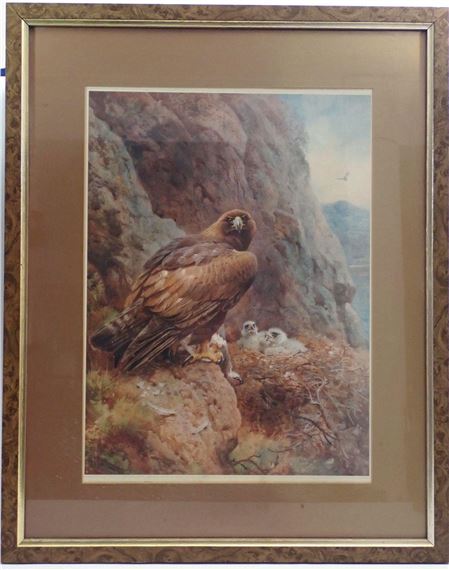 Archibald Thorburn | Golden eagle and nest | MutualArt